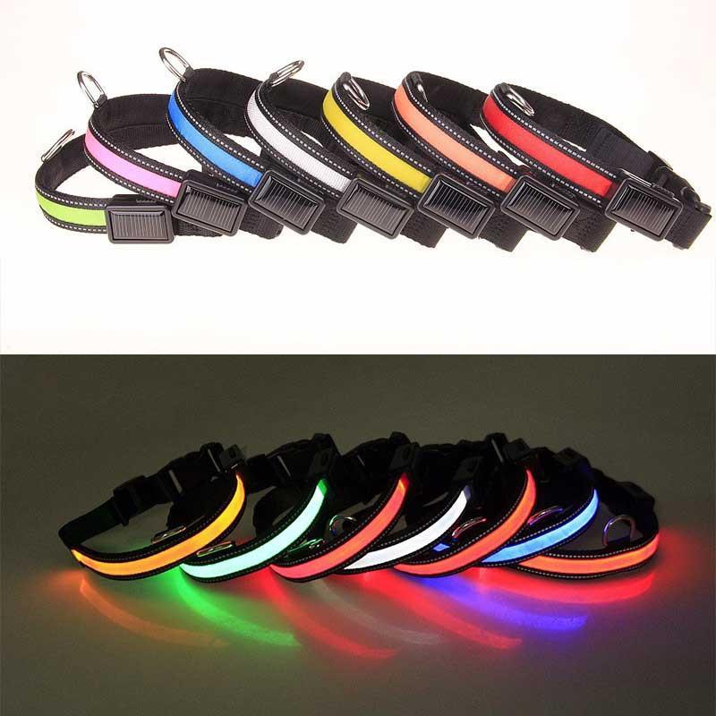 Solar Powered LED Pet Collar - Fanduco